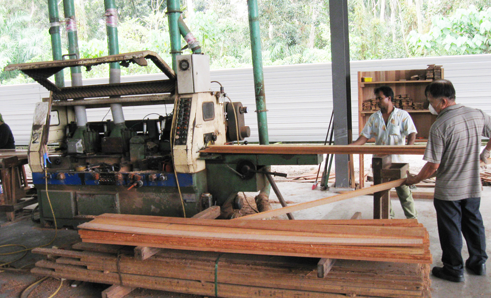Nyatoh Wood | Nyatoh Wood Malaysia | Nyatoh Wood Skirting | Nyatoh Wood ...